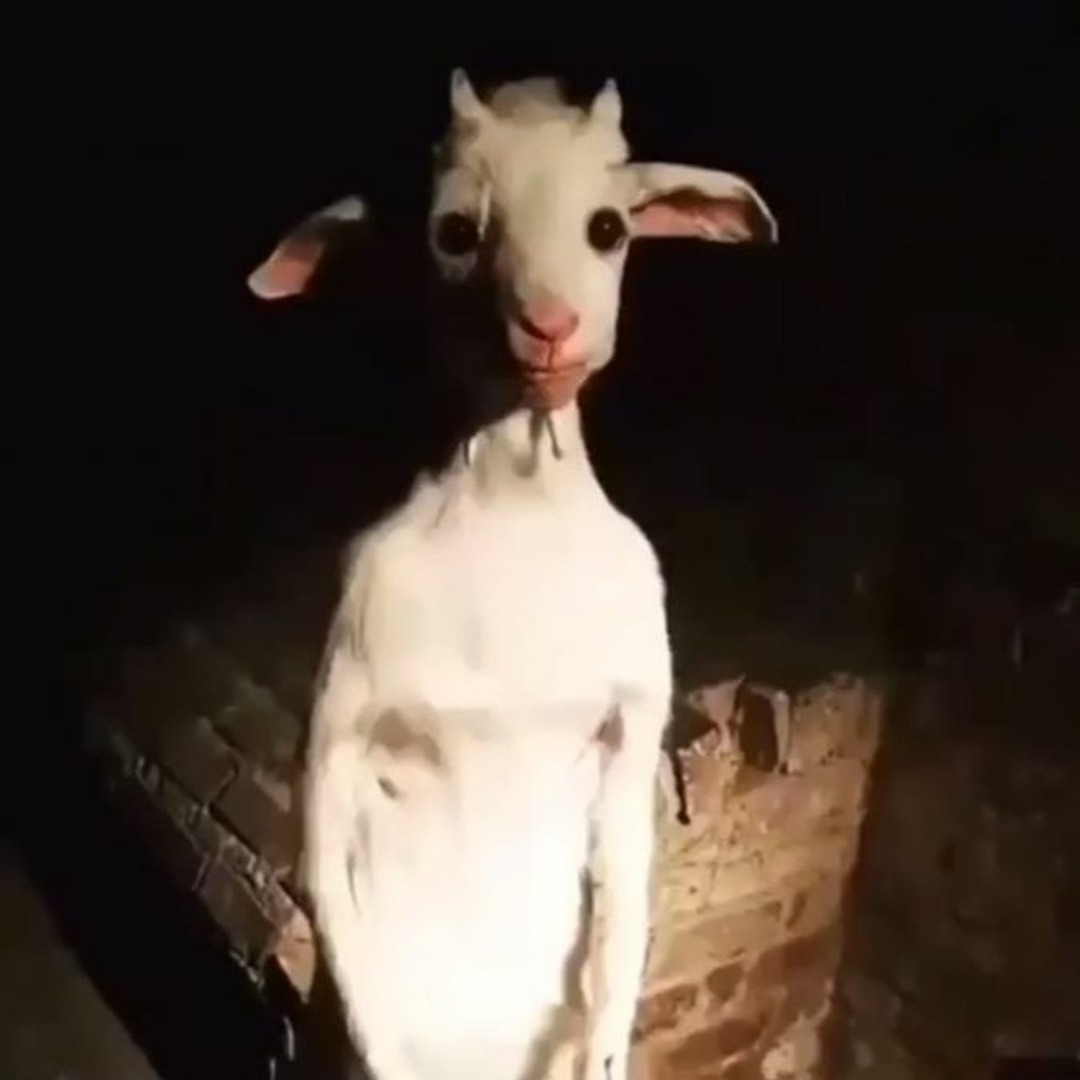 Stream Deltarune: The Other Puppet - Asriel Entrance by Vesperr the 2 ...