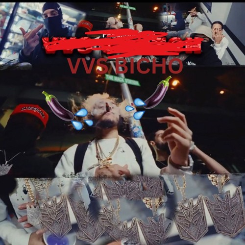 Stream VVS BICHO (VVS SWITCH GAY REMIX) by evlmny | Listen online for ...