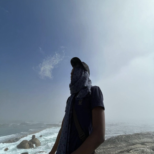 Stream Don earl-soul to wok prod.v8 by underground | Listen online for ...