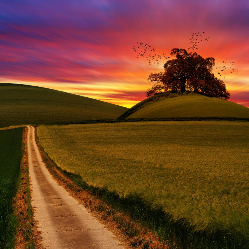 DJ Geri - Trance Journey 2026-03-15