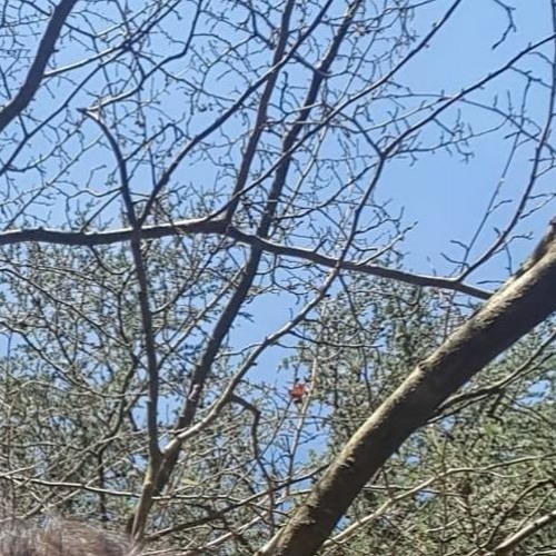 Stream Dark Side by BBBVVV | Listen online for free on SoundCloud