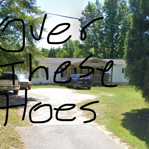 Stream Over These Hoes by Ketamine Kyle and Raw Dog Ryan | Listen ...