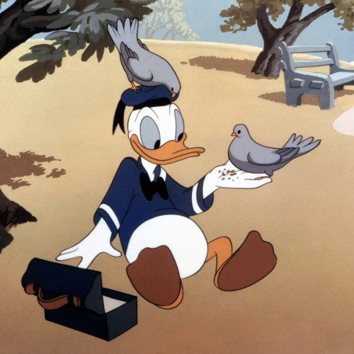 Stream Donald Duck (Fast) by Naard2x | Listen online for free on SoundCloud