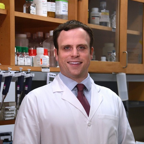 Stream episode “The Next 500 Years: Engineering Life to Reach New ...