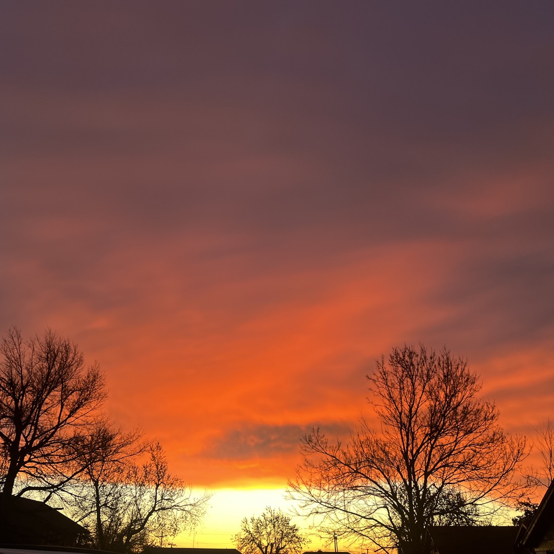 Stream Damon Manning | Listen to Dada playlist online for free on ...