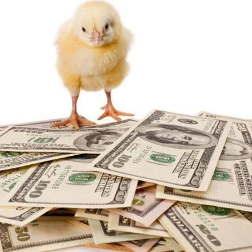 Stream chicken money (feat. Eyafra, feat. Shalom Williams, feat. Maheem ...