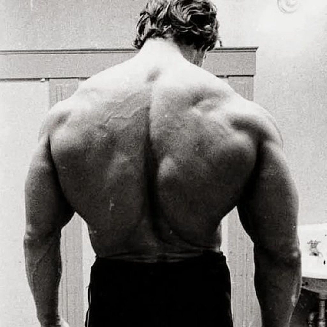 Stream PXRKX FT SHADOW PLUS_ BASSLINE UNRELEASED by weerufit | Listen ...