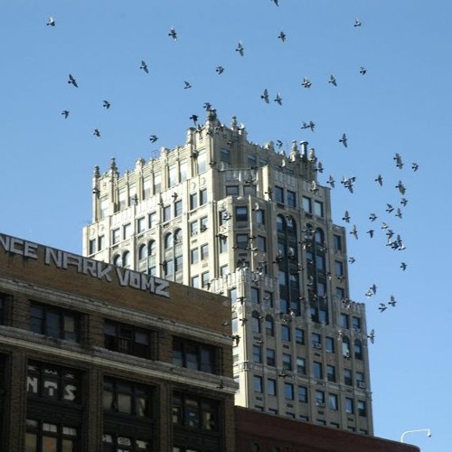 Stream birth of serpents (the mountain goats cover) by azrielle ...