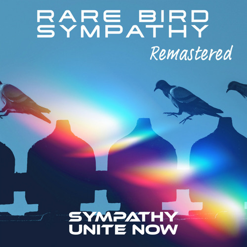 Stream Sympathy (Remastered 2022) by Rare Bird | Listen online for free ...