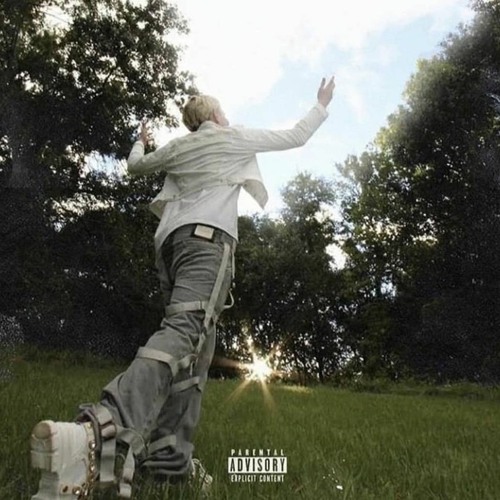 Stream “WEILAND” the album *All snippets/leaks compiled* by 𝕹𝖊𝖜 𝖂𝖔𝖗𝖑𝖉 ...