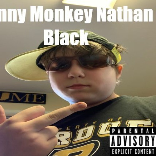 Nathan Meme