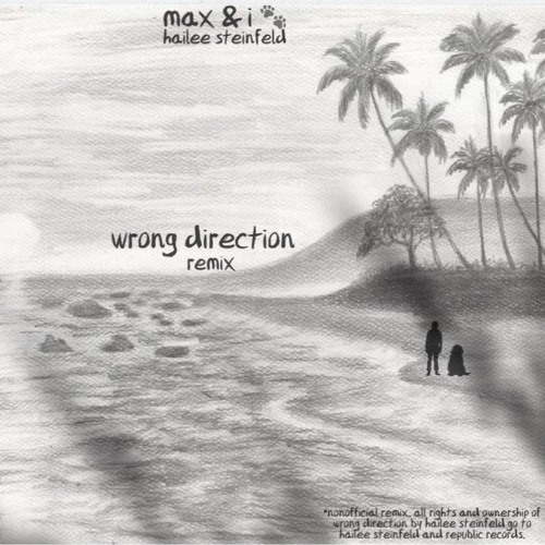Stream Wrong Direction- Hailee Steinfeld- max & i remix (nonofficial ...
