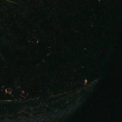 Stream Shandae by Aden Mayo | Listen online for free on SoundCloud