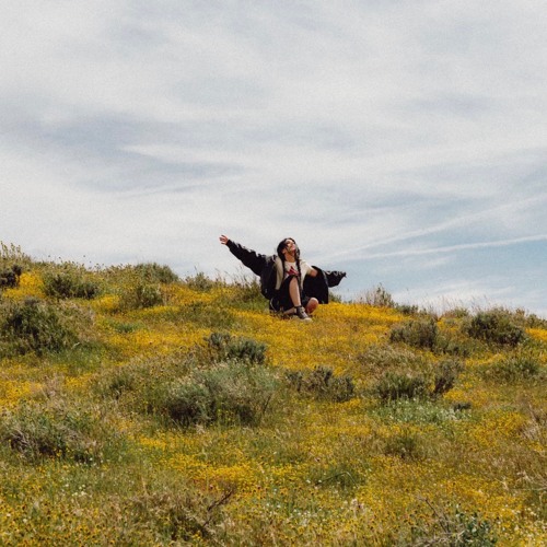 Stream Seventeen by ally nicholas | Listen online for free on SoundCloud