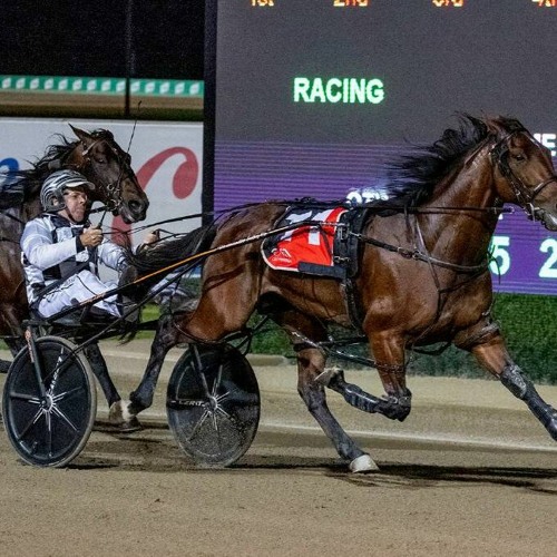 Stream Newcastle Mile Preview with Sam Williams and Ken Warren by ...