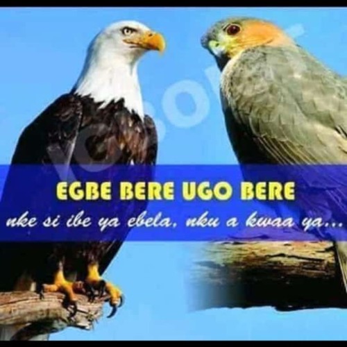 Stream Ilu Igbo Episodes 4.mp3 by Culture and Value TV | Listen online ...