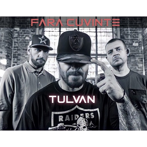 Stream TULVAN - Fara Cuvinte *BUG Mafia* (Extended Mix) by TULVAN ...