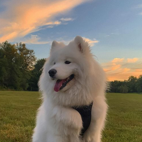 SoLeaf - Hips (Instrumental Remake by fawnx) - Listen to music