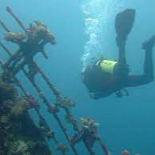 Stream Ex4 - Recitation and Interpretation of "Diving into the Wreck ...