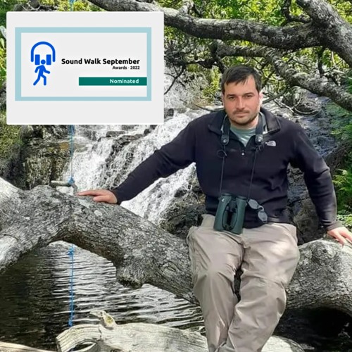 Listen to music albums featuring The Life of Birds - Radio Walk with ...