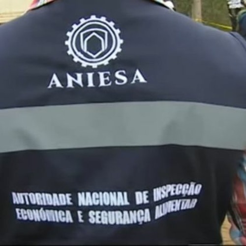 Stream ANIESA prende perto de 7 toneladas de derivados de frango no ...