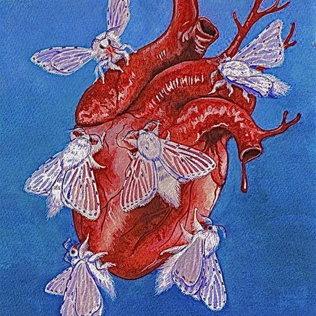 Stream lua nova ft. missufr by DS | Listen online for free on SoundCloud