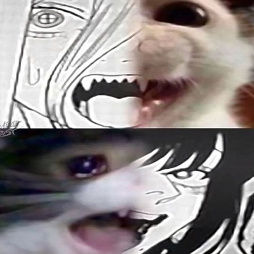 Stream Meowless Whisker (Careless whisper) - George someone someone i ...