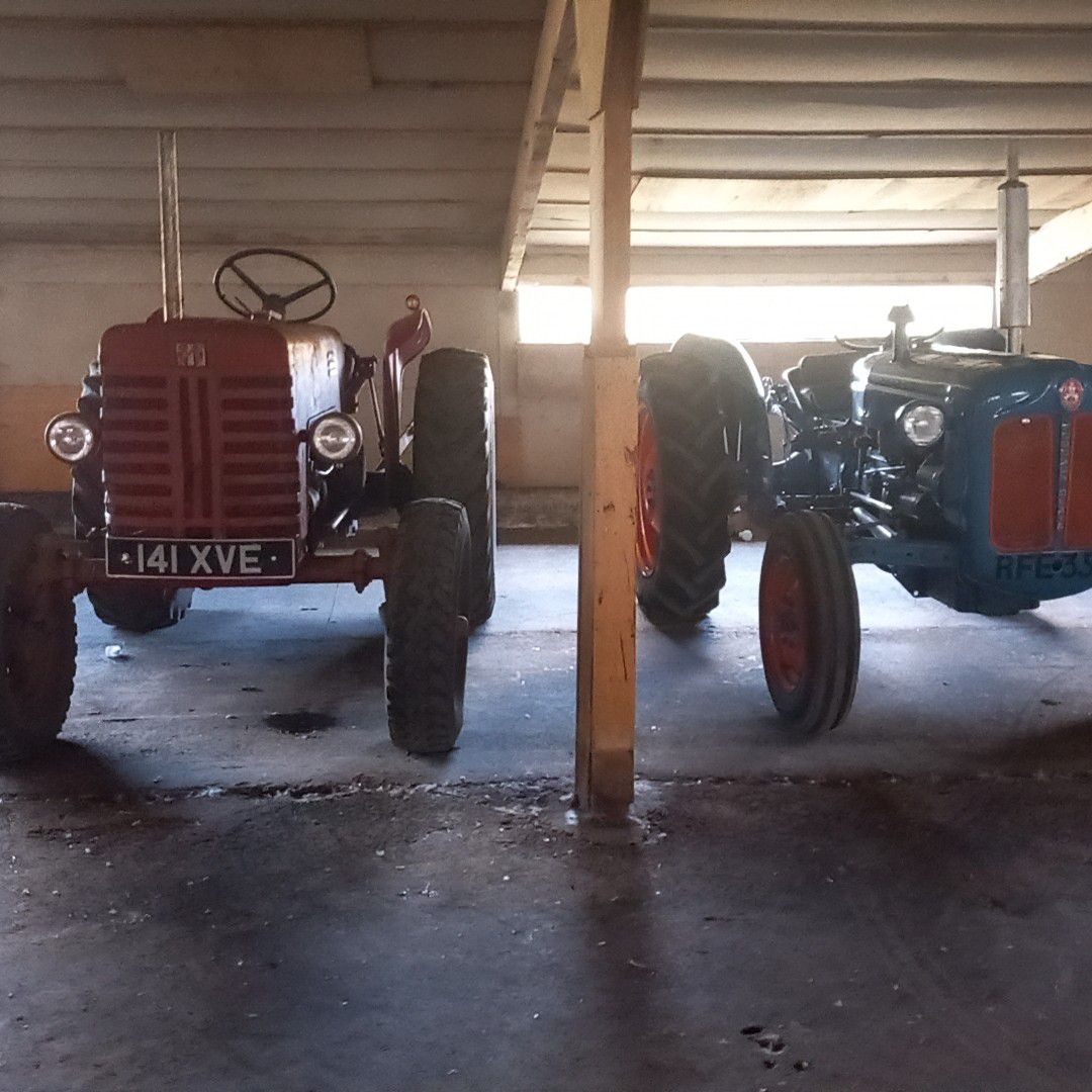 Stream Lewis | Listen to shed rave 🍻🚬 playlist online for free on ...