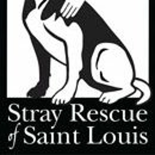 Stream STRAY RESCUE by TalkoftheTown | Listen online for free on SoundCloud