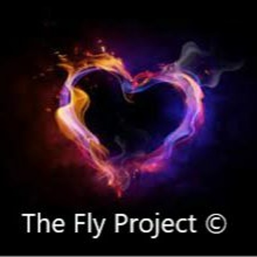 Stream The Fly Project © - Reveal Your Inner Soul - Progressive Mix ...
