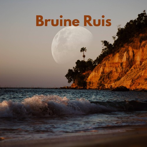 Stream Bruine ruis machine by Witte Ruis Slapen | Listen online for ...