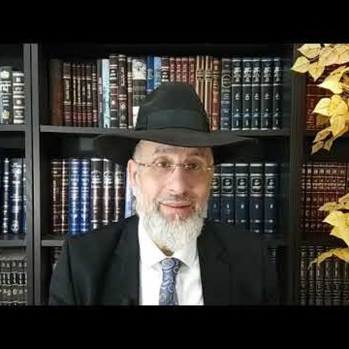 Stream Pourquoi divorce t-on? by Rav David Touitou | Listen online for ...