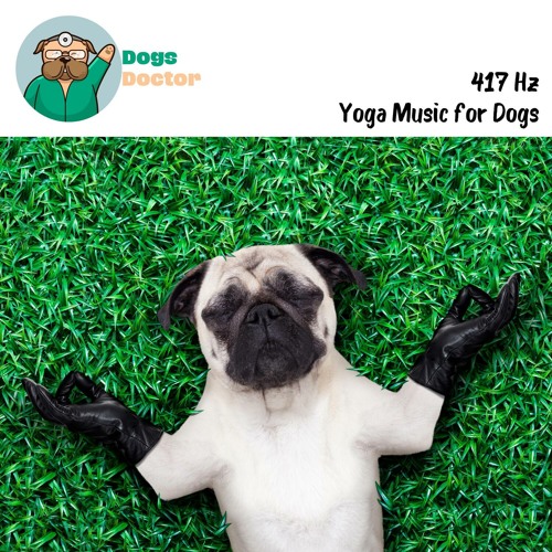 Stream 417 Hz Serene Music by Dogs Doctor | Listen online for free on ...