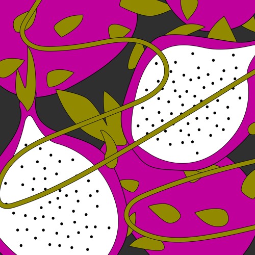 Stream Ferment Station w/ Mini Zucchini & Hiroko Hacci - 18th February 2025 by Black Rhino Radio ...