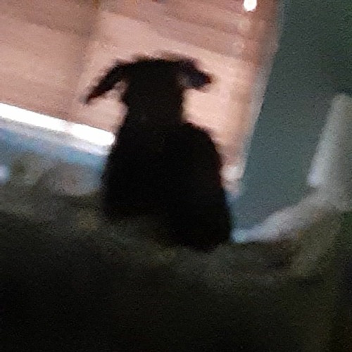 Stream No I Cant Stop Lava X 225 By Cruelty Listen Online For Free On Soundcloud