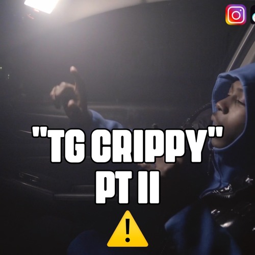 Stream "TG Crippy" Pt II | Hazard Lights ⚠️ by CreatedByO.A | Listen ...