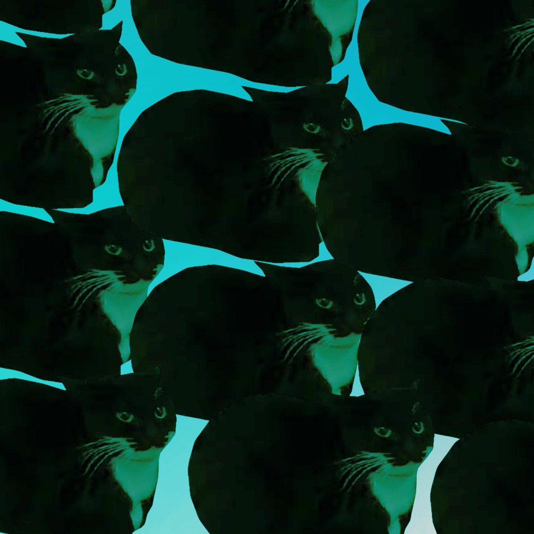 Stream Maxwell the Cat (Phonk Version) by Ichiro Yamazaki | Listen ...