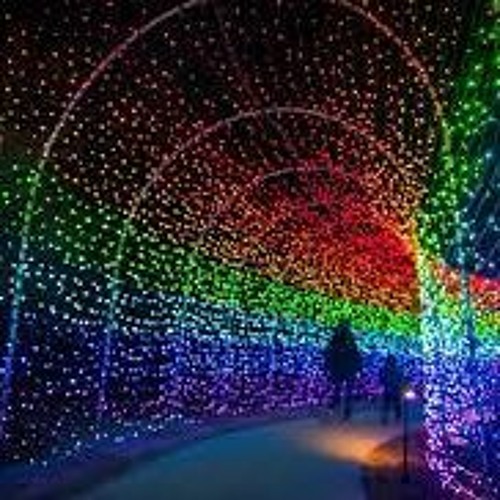 Stream episode Night Lights: Starry Skies at Botanic Garden by Radio ...