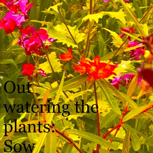 Stream Out Watering The Plants Sow by Callum Coates-Keddy Synth ...