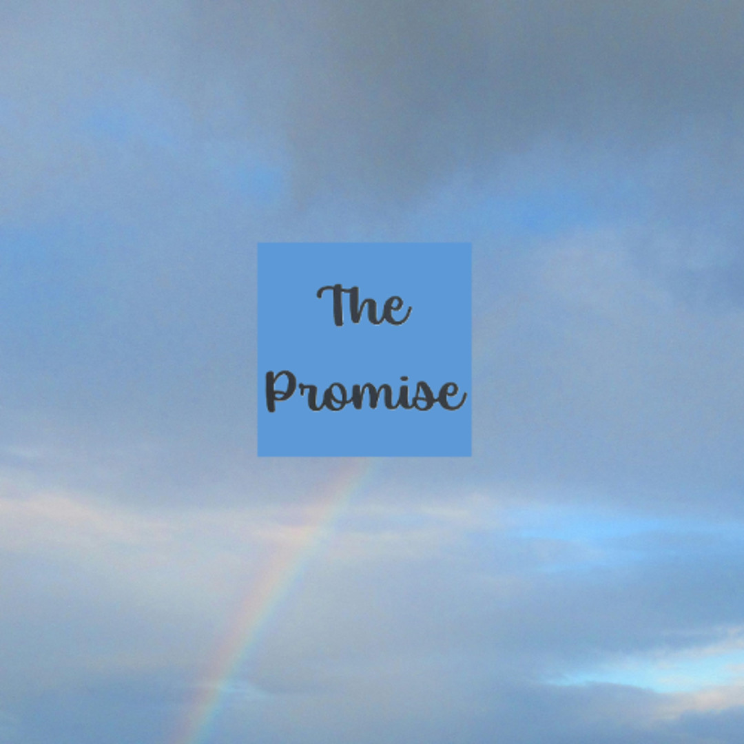Stream The Promise by Tom Meyerhoeffer | Listen online for free on ...