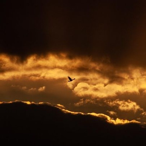 Stream 125 Years of Jewish Freedom - The Jay Shapiro Show by Israel ...