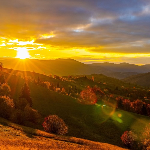 Stream The Goodness of God by Kevin Diener by Liberty Church George ...