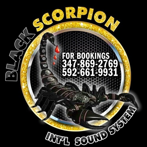Stream Dancehall Mix 2023 Vol 1 by Black Scorpion Sounds GY | Listen ...