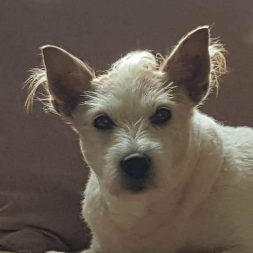 Stream Womans Heart - Cover by Jason Standring | Listen online for free ...