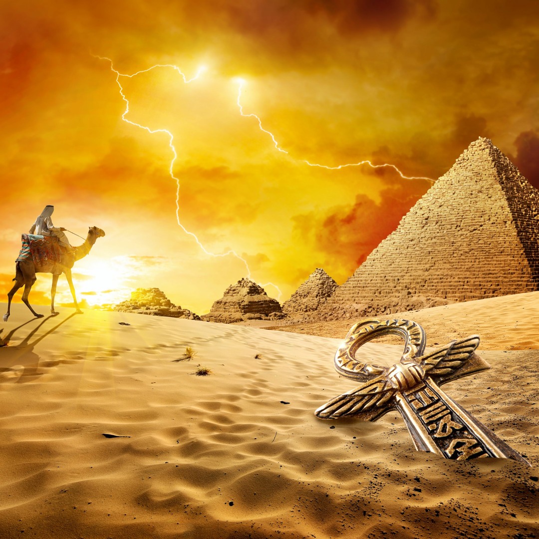 Stream Trackistador | Listen to Arabic, Egyptian, Oriental & Middle ...