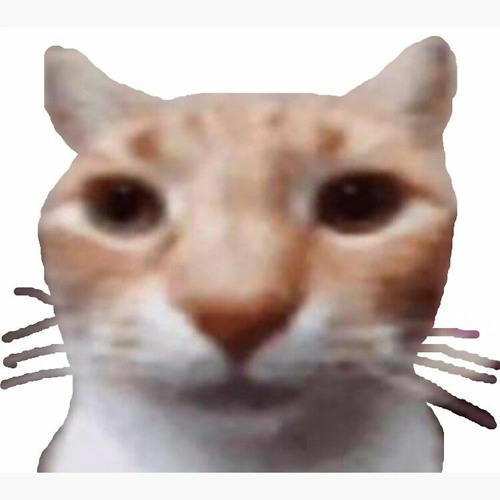 Stream episode CHIPI CHIPI CHAPA CHAPA CAT [HARDSTYLE REMIX] by S3Y ...