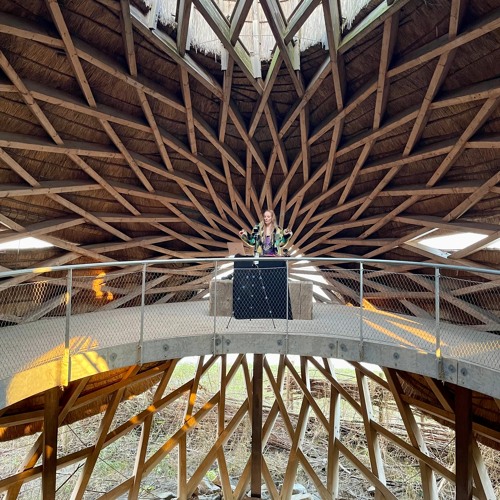 Stream Špaceflowřs 13 - Ninsa At Spectacular Bird Observatory TIJ by ...