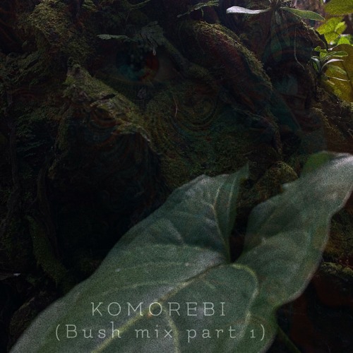 Stream Komorebi Bush Mix - Part 1 by Komorebi (Aus) | Listen online for ...