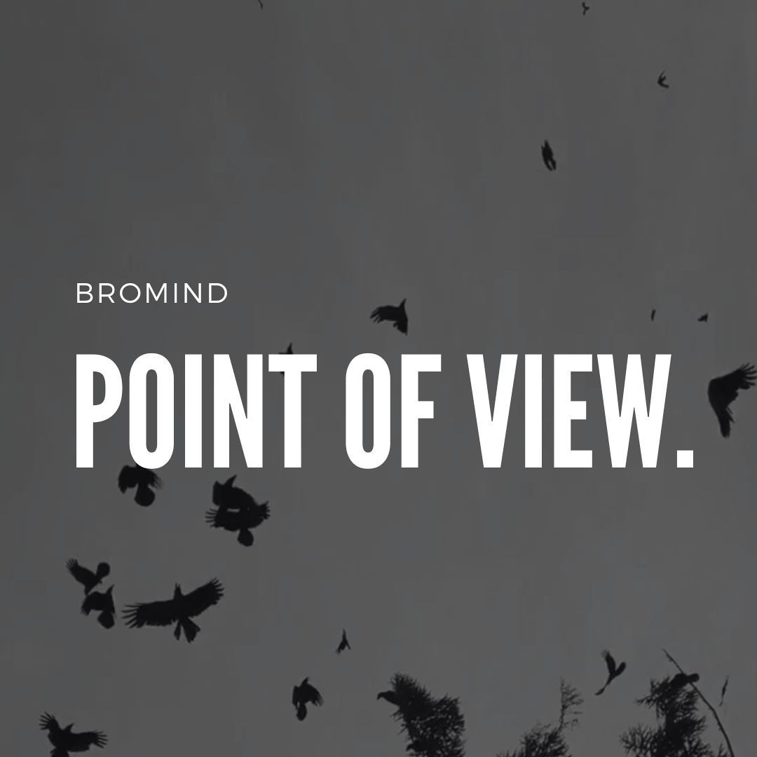 Stream BROMIND - POINT OF VIEW by BROMIND | Listen online for free on ...