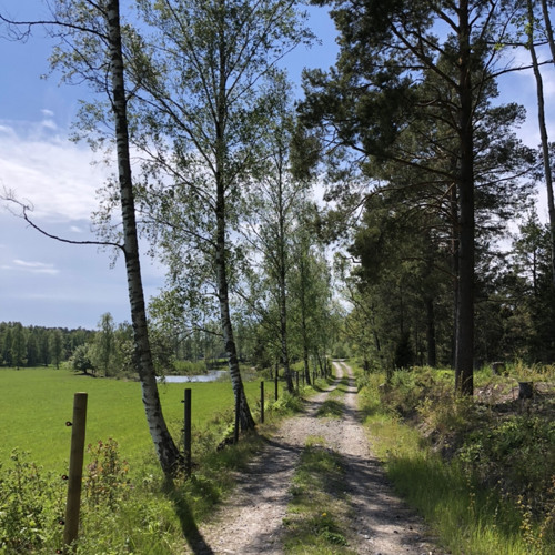 Stream Let Your will be done - Matilda Nyberg by Matilda Franzén ...